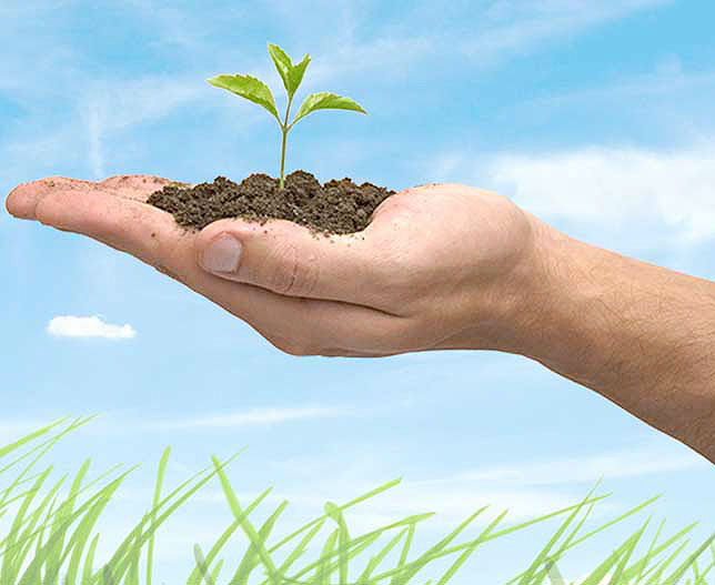 COMPANY PROFILE – Eakta Dyeing